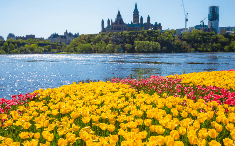 The World’s Most Incredible Flower Shows, Festivals, & Gardens to Tour ...