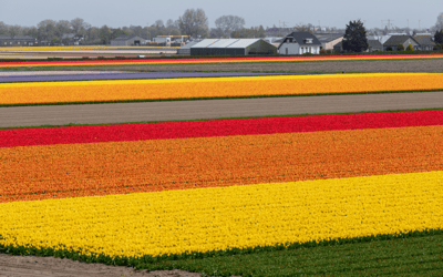 The World’s Most Incredible Flower Shows, Festivals, & Gardens to Tour ...