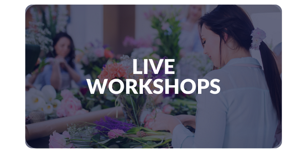 BloomTV Network Launches New Collaboration with Details Flowers Software