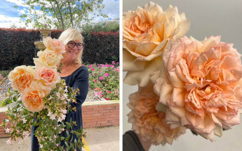 Alexandra Farms Honors Designer with Stunning New Variety: Princess ...