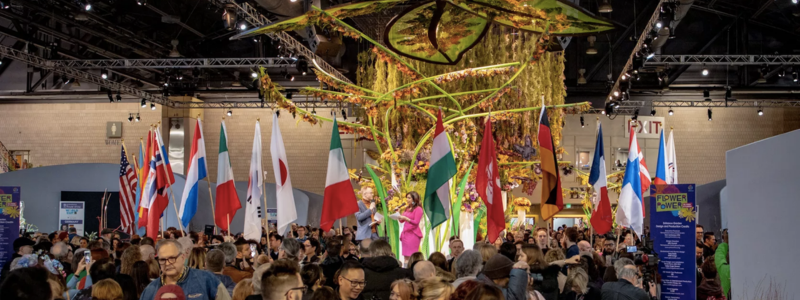 Celebrating Floral Artistry: The Interflora UK World Cup 2023