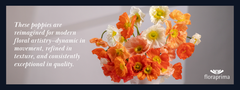 The Art of Blooming: Floraprima Introduces the Poppy Collection