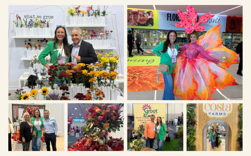From Anaheim with Flowers: Highlights from the IFPA Global Produce ...
