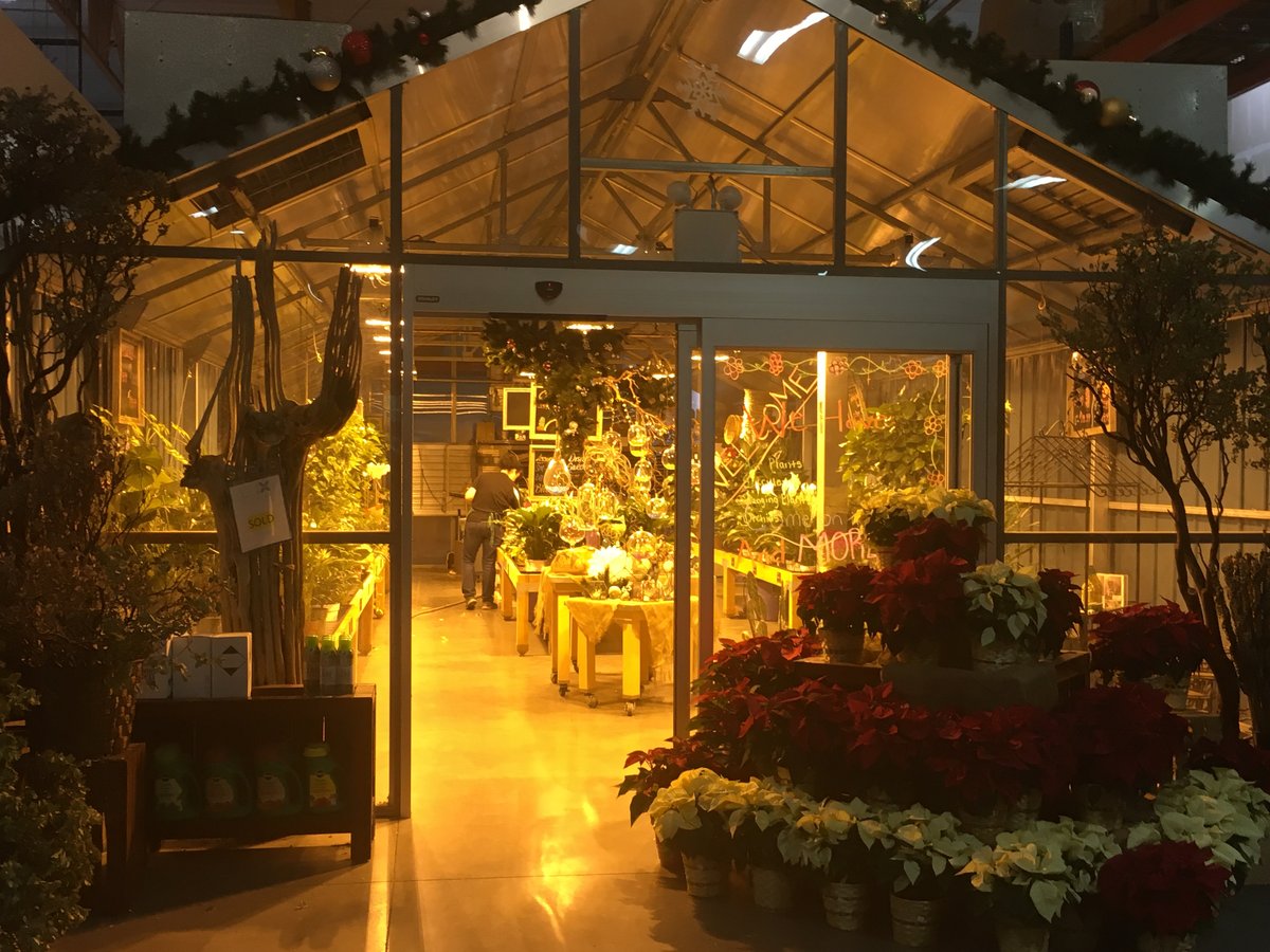 Customer Spotlight: Arizona Family Florist