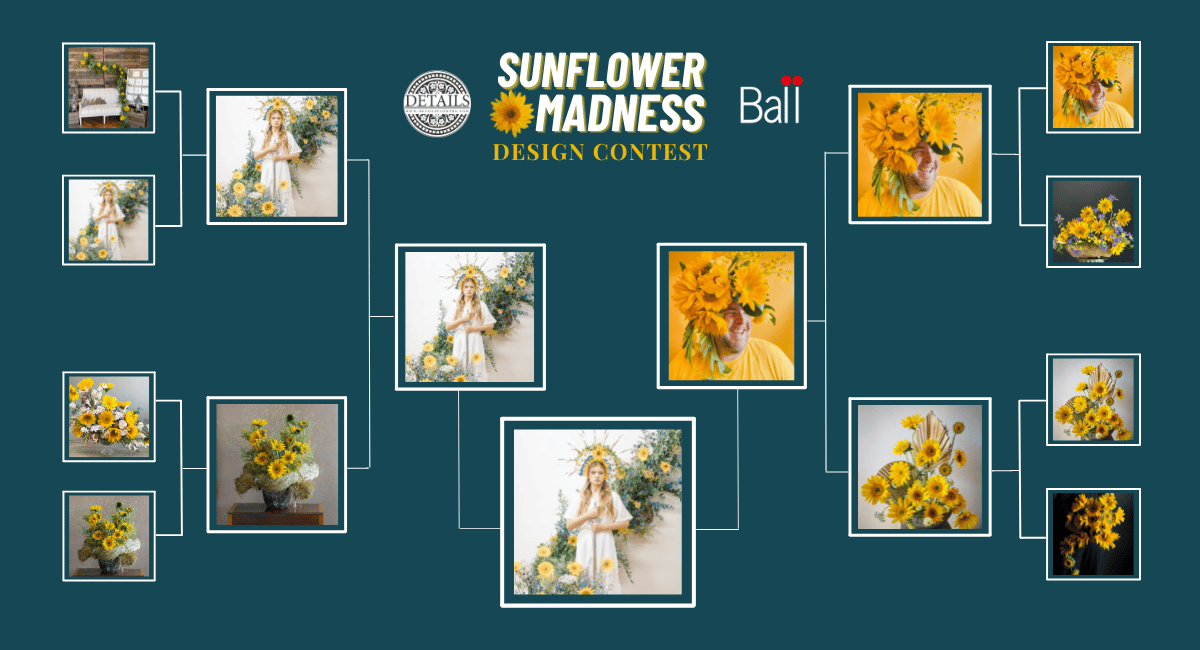 The Sunflower Madness Contest Winner Spotlight: Brandy Ferrer