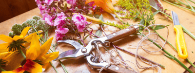 Educational Resources: The American Institute of Floral Designers