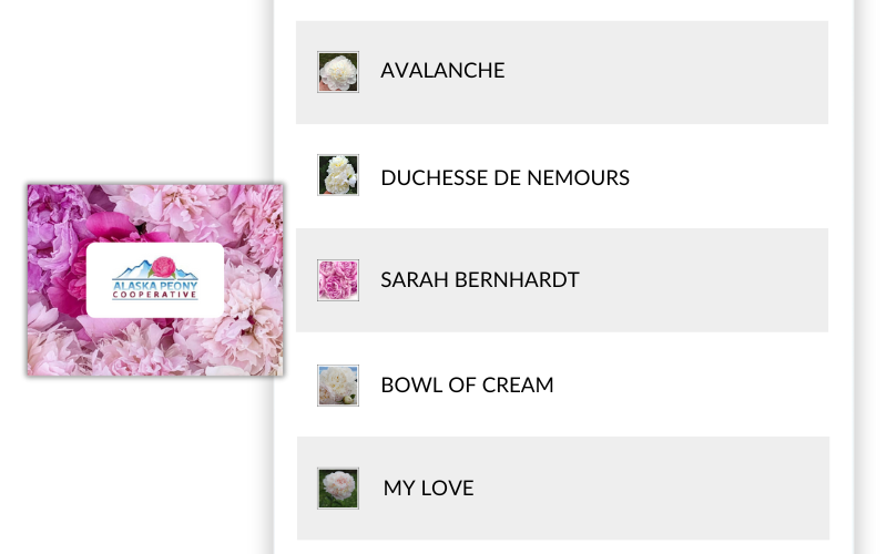 Top Products & Blooms in Details Flowers Software for 2023