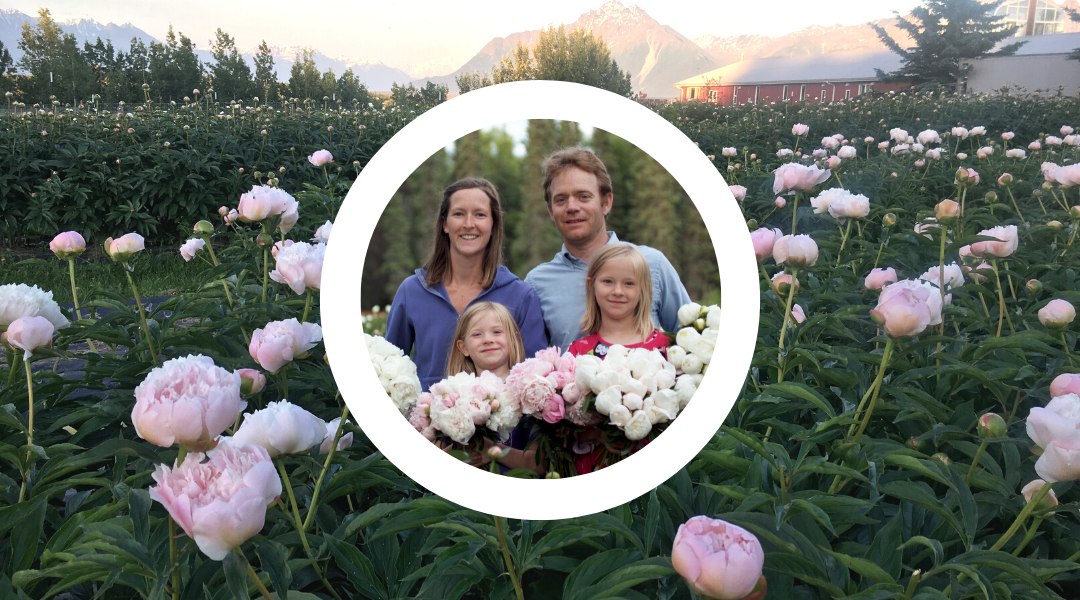 Alaska Peony Cooperative: Premium Peonies