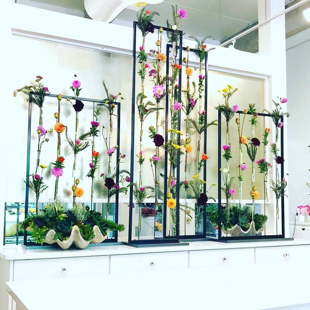 Stay in and Arrange Design Contest with Farm Exports