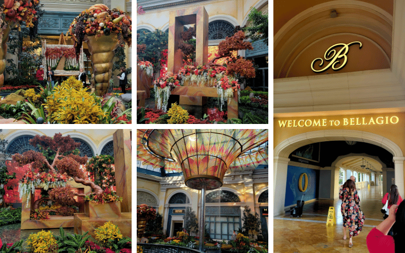Details Takes Over Vegas! Our Experience at Wedding MBA 2022