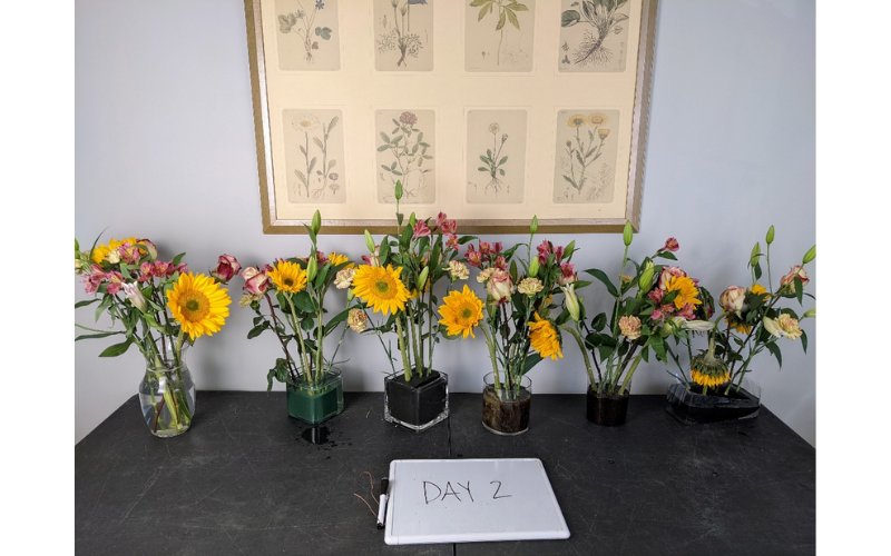 The Floral Foundations Experiment by Renee Tucci AIFD PFCI