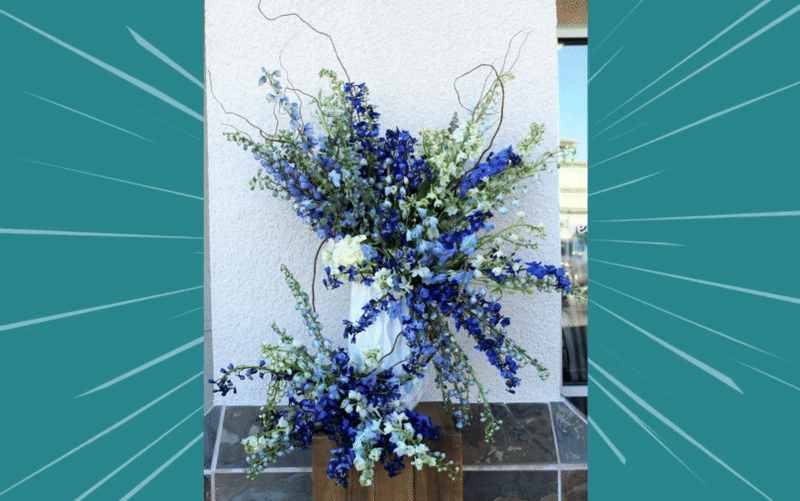 Meet The Winner of The Duel of the Delphiniums Contest!