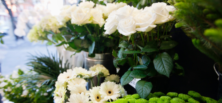 Educational Resources: Society of American Florists' Career Connections