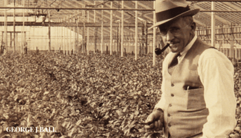 Ball: All The Best & Nothing Else