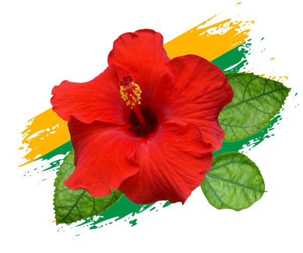 History of Juneteenth: Educate, Celebrate, & Heal with Flowers