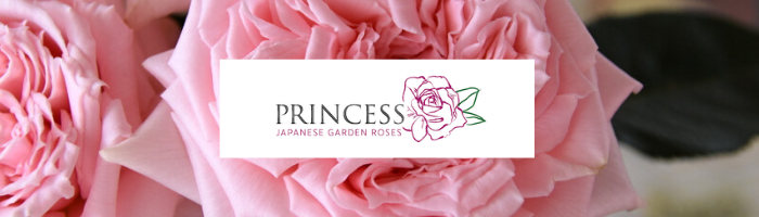 Design with Alexandra Farms Garden Roses