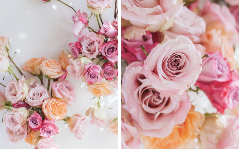 Welcoming Rosaprima to Details!