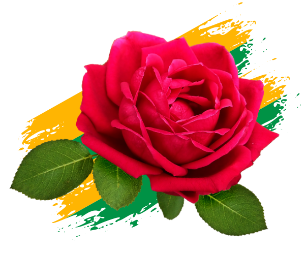 History of Juneteenth: Educate, Celebrate, & Heal with Flowers