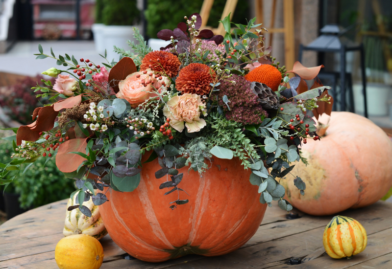 10 Strange & Spooky Plants Perfect for Halloween